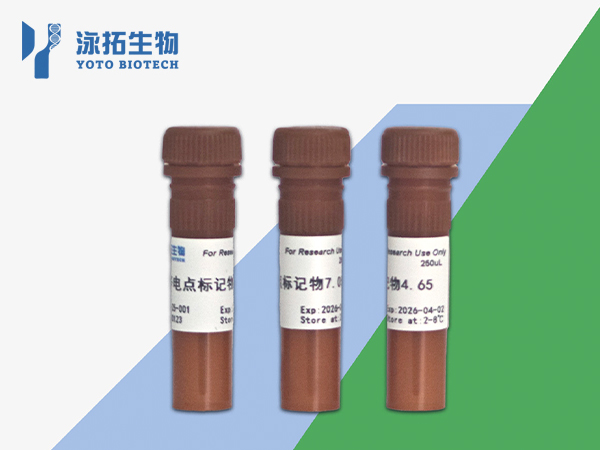 PI marker-CIEF系列-上海泳拓生物科技有限公司